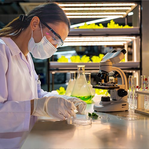 Bachelor of Biotechnology - MWT Study Abroad