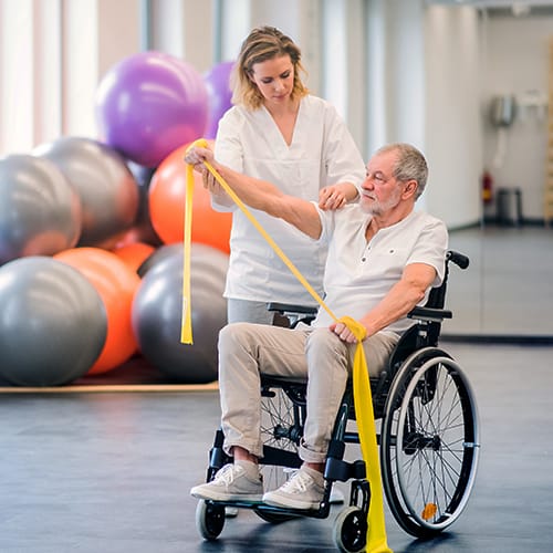 Master of Occupational Therapy Practice - MWT Study Abroad